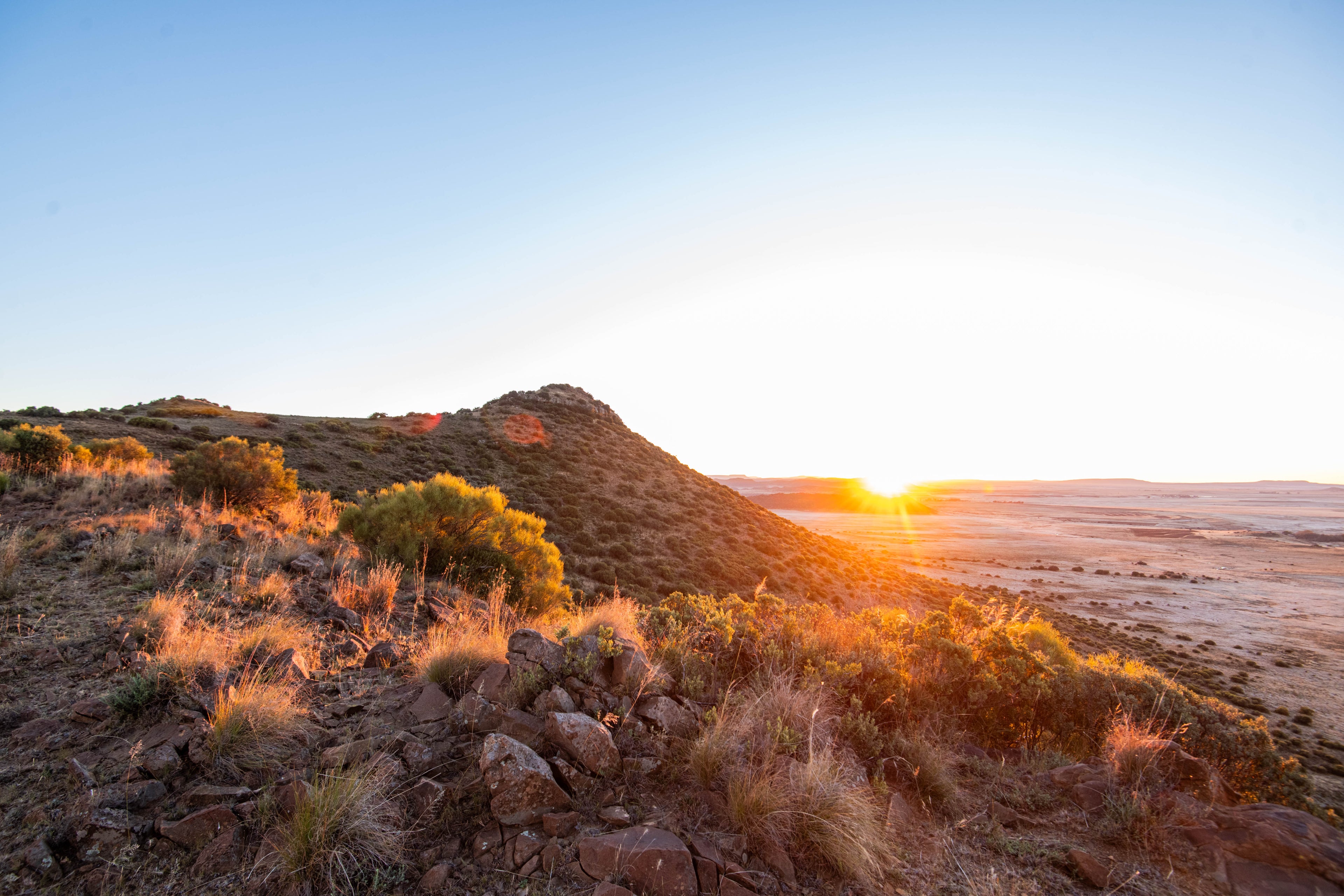 Products – Karoo Biltong